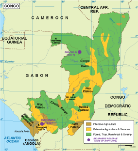 Congo vegetation map | Order and download Congo vegetation map